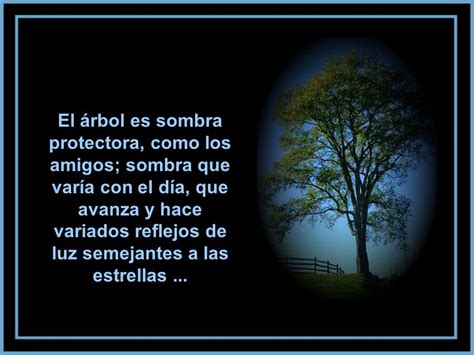 Mi amigo el árbol El Blog de Marcelo Bordolini