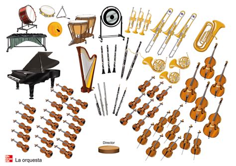 Print Map Quiz Instrumentos de la orquesta 3º primaria instrumentos