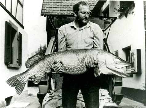 Les Poissons Record De France Et Du Monde Carpe Brochet Sandre