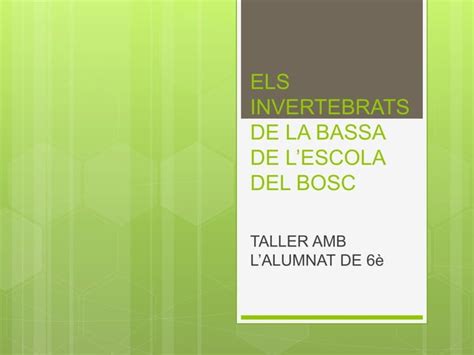 Invertebrats de la bassa a l escola del Bosc Taller per alumnes de 6è
