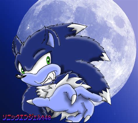 Sonic The Werehog Sonic The Werehog Photo 18631454 Fanpop