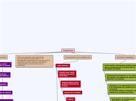 Cavidad Bucal Mapa Conceptual Tong Ilmu Images The Best Porn Website