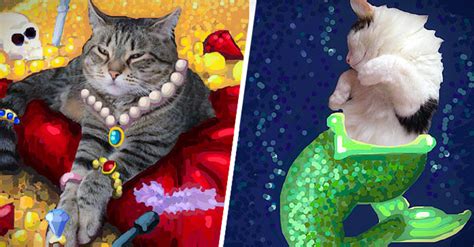 Gato Se Vuelve Viral Por Fotos Graciosas En Snapchat