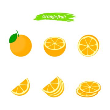 Orange Vector Illustrations Set Orange Slices Orange Clipart Orange