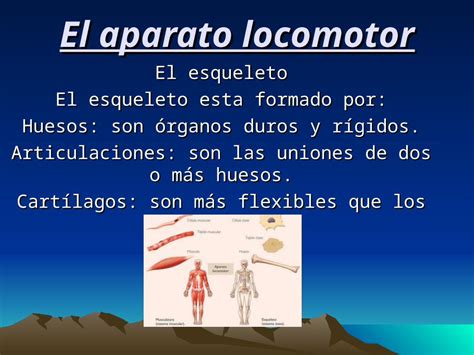 PPT El Aparato Locomotor Jorge DOKUMEN TIPS