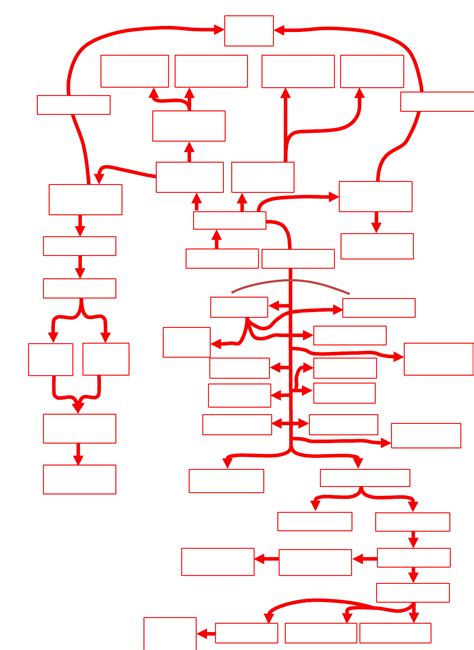 Preview Arterial Blood Flow Chart