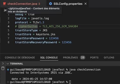 Connecting To Cloud SQL With DBeaver Using SSL TLS InterSystems Developer