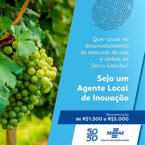 SEBRAE RS está inscrições abertas para bolsistas Agentes Locais de
