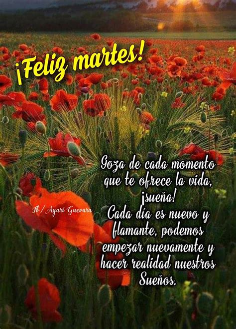 Pin de Ayari Guevara en Mágicos Sueños 5 Saludos de buenos dias