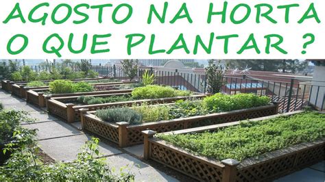O QUE PLANTAR EM AGOSTO NA HORTA YouTube