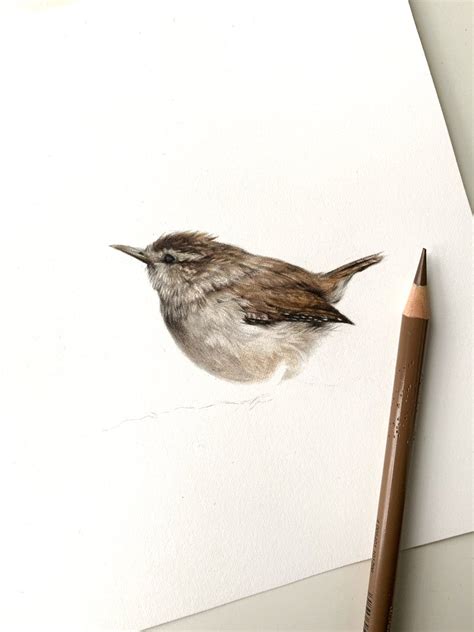 Dr Desirée Kozlowski on Twitter RT annahamiltonart Trying to keep a