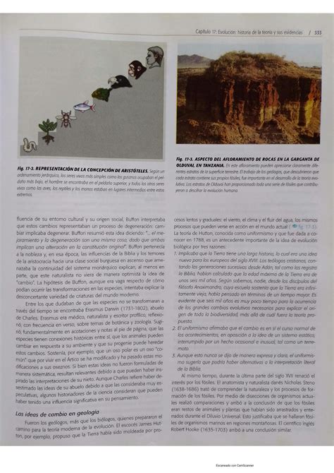 Solution Evoluci N Historia De La Teor A Y Sus Evidencias Studypool