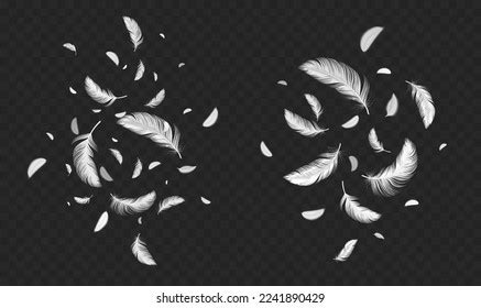 Dove Transparent Royalty Free Images Stock Photos Pictures