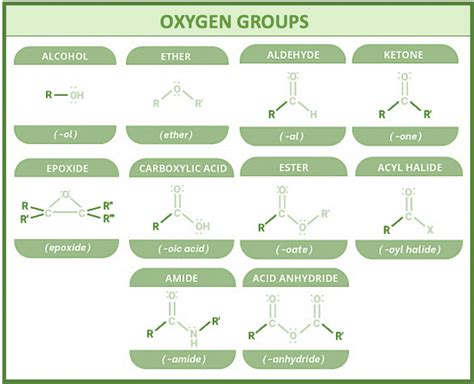 Functional Groups In Organic Chemistry Chemtalk