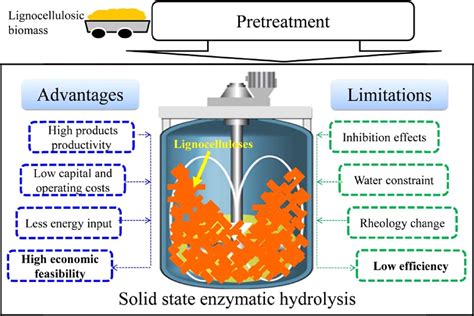 Acid And Enzymatic Hydrolysis Of Cellulose