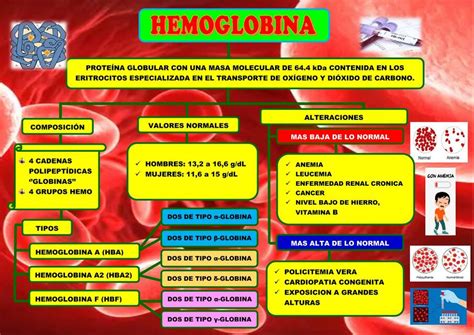 Hemoglobina Jose Wilmer Villanueva Abanto Udocz