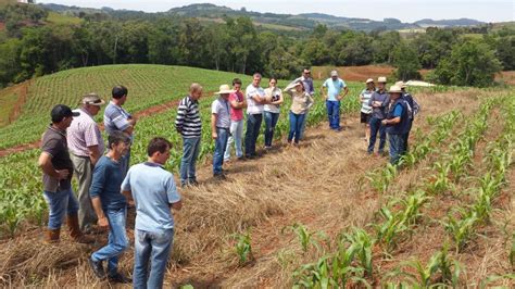 Dia Nacional da Extensão Rural é celebrado pela Emater Ascar JE Acontece