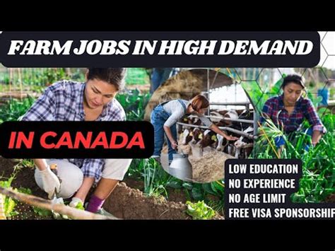 Farm Jobs In Canada With Free Visa Sponsorship In 2023 No Education