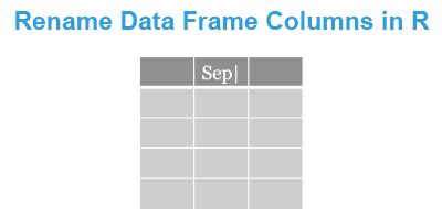 Change Data Frame Column Name In R Infoupdate Org