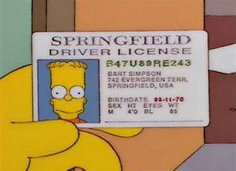 16 Cartoon Characters Driver S Licenses PICTURES HuffPost
