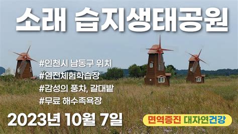 소래 습지생태공원 서울대자연산악회 소래포구역 만남 염전체험 소금창고 감성있는 풍차 아름다운 갈대밭 무료 해수족욕장