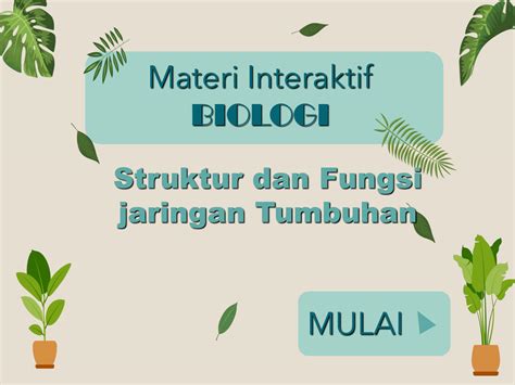 SOLUTION Jaringan Tumbuhan Biologi Studypool