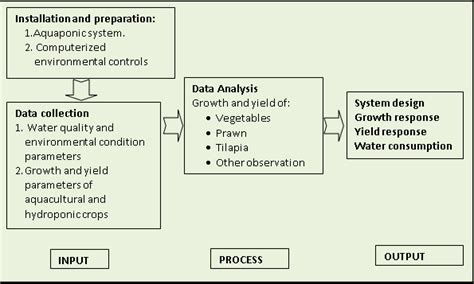 Thesis Conceptual Framework Input Process Output Thesis Title Ideas