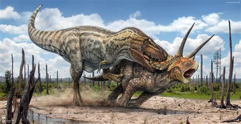 T rex vs Triceratops Prähistorisches Dinosaurier kunst Dinosaurier