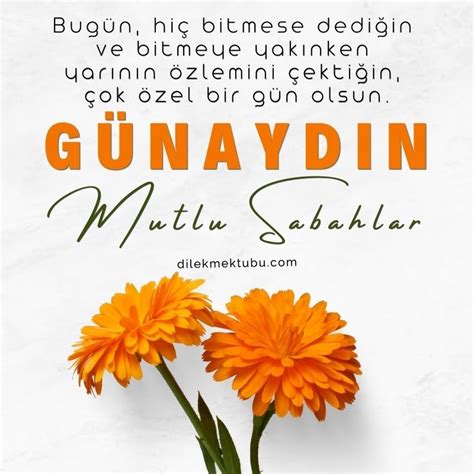G Nayd N Mesajlar Dilek Mektubu