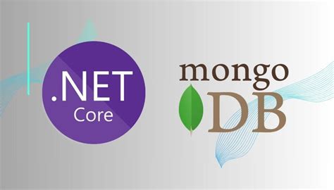 handling non success status codes with custom responses in asp core api by nibas nazeem