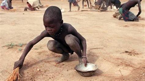 Fome afetou mais de 700 milhões de pessoas no mundo em 2021 diz ONU