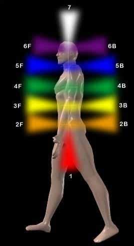 This Image Shows How The Chakras Extend Outward From Our Physical