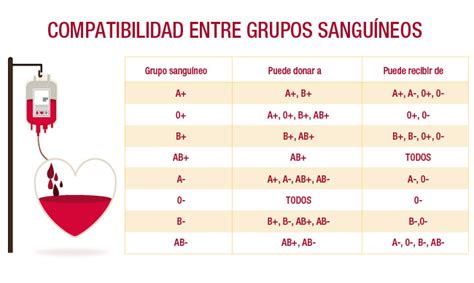 Sabés cuales son los grupos sanguíneos Laboratorio de Extraccionistas