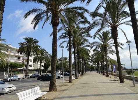 Vilanova Atrakcje Sadurski