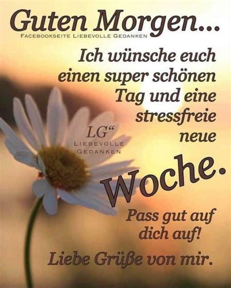 60 Ich Wünsche Euch Morgen Eine Schöne Hochzeit Sprüche Sie bieten