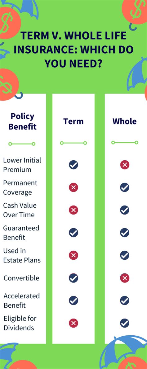 What Are The 2 Basic Types Of Life Insurance Leia Aqui What Are The 2
