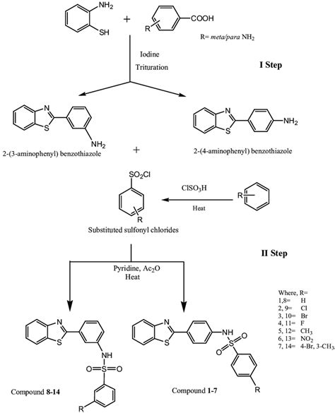 Scheme 1 Synthesis of N 4 benzothiazole 2 yl phenyl ¾ substituted
