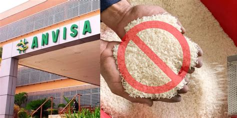 Fezes De Rato O Arroz Barrado Pela Anvisa E Situa O Hoje
