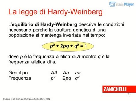 La Prova Matematica Dellevoluzione Biologica