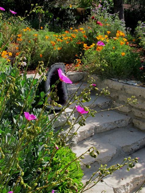 Los Angeles Storm Water Harvesting Garden Contemporain Jardin