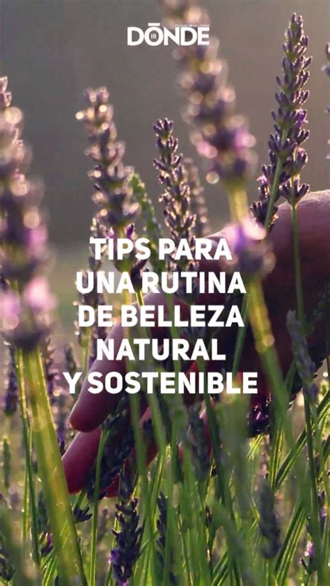 5 Tips Para Una Rutina De Belleza Natural Y Sostenible Rutina De