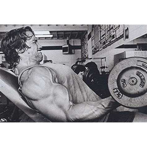 Lawrence Painting Arnold Schwarzenegger Canvas Wall Poster Modern Home
