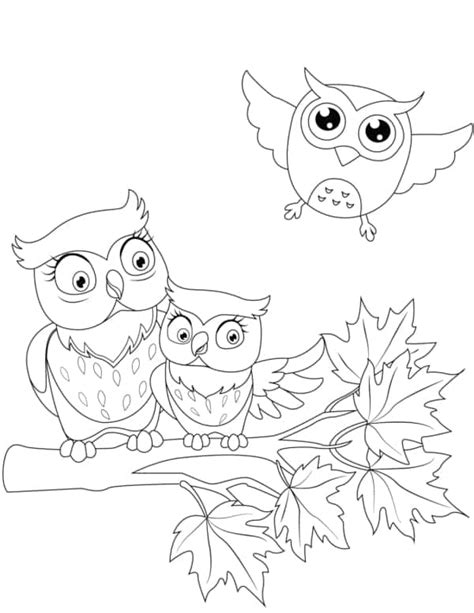 45 desenhos de CORUJA para colorir e imprimir grátis