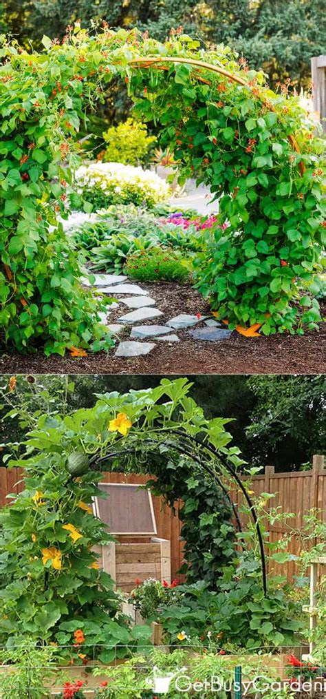 24 Easy Diy Garden Trellis Ideas Plant Structures Artofit
