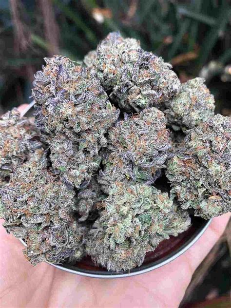Buy Ice Cream Cake Strain Green Milles Dispensary