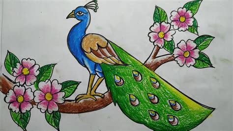 How To Draw A Peacock Step By Stepeasy Peacock Drawinghow To Draw Peacock By Oil Pastel Color