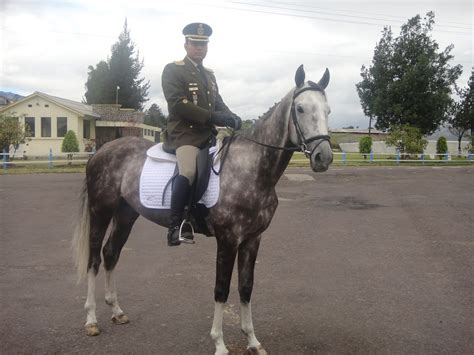 Escuela de Equitación del Ejército Bolivariano Negro Primero Curso