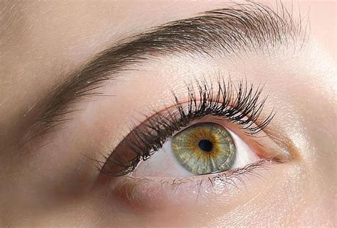 Lifting de Pestañas Laminado de Cejas Cuponatic