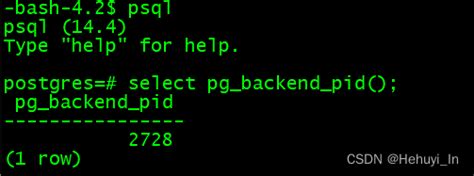 【精选】postgresql源码学习（26）—— windows vscode远程调试linux上的postgresql 调试 linux postgresql hehuyi in的博客 csdn博客