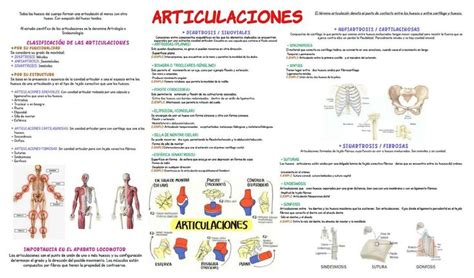 Pin on Biología humana